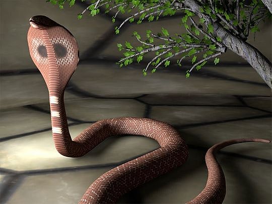 Deadly cobra terrorises German town