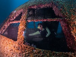 Largest underwater theme park opens in Bahrain