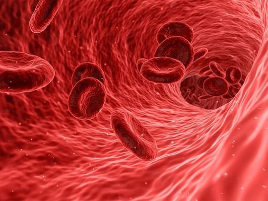 Immune cells rewire, repair brain while we sleep: Study