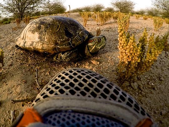 Shooting from the toe: See the world from a different perspective