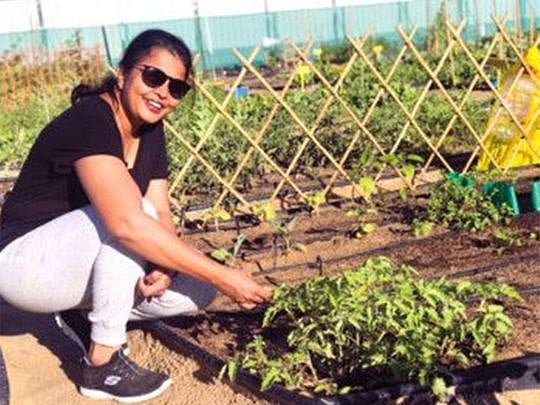 In DSO, residents plant their own produce