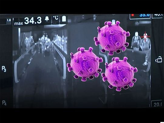 Infographic: Anatomy of a shape-shifting virus