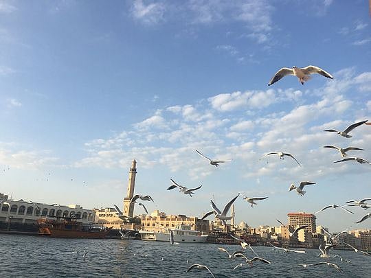 Photos: Gulf News readers share pictures: Life in the UAE