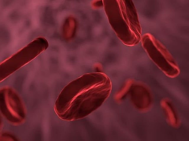 Bengaluru woman's rare blood group discovery rewrites medical history