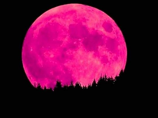 UAE to see Pink Moon, Supermoon on April 27