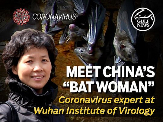 Meet China's "Bat woman" Coronavirus expert at Wuhan Institute of virology