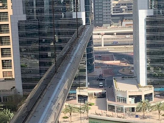 UAE: Dubai residents report an increase in flies, mosquitoes