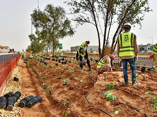 See how Saudi Arabia is making Riyadh green