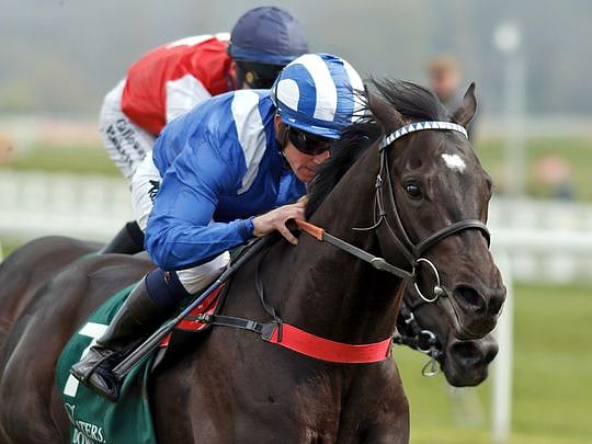 Marcus Tregoning all set to pick up the gauntlet at Newmarket