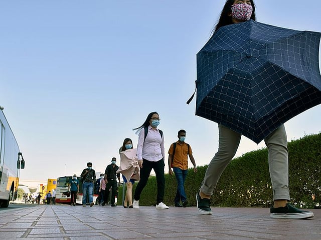 UAE: How to access a digital version of your labour card online, for free