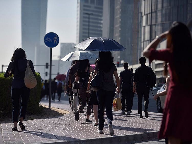 Essential Work Permits in UAE: MoHRE's 12 Must-Have Authorizations