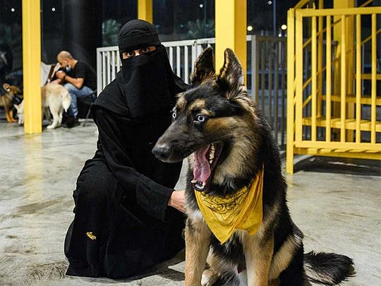 Photos: In changing Saudi Arabia, first dog cafe delights pet lovers