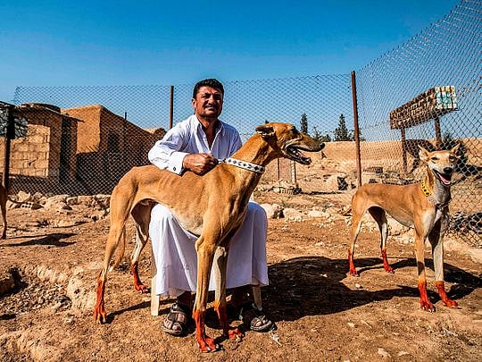 Syrian village trains racing dogs despite war and pandemic