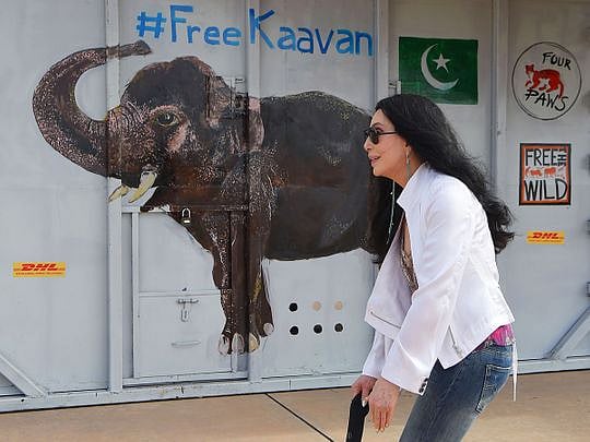 Photos: 'World's loneliest elephant' Kaavan lands in Cambodia, greeted ...
