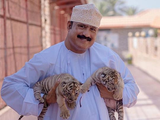 Oman: Two new tiger cubs born in Barka zoo