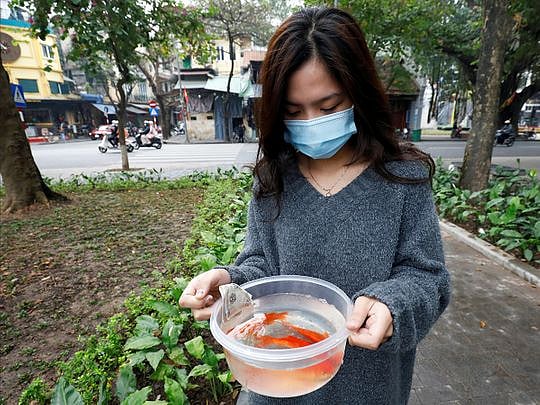 Carp diem: Vietnamese mark Lunar New Year with annual fish release