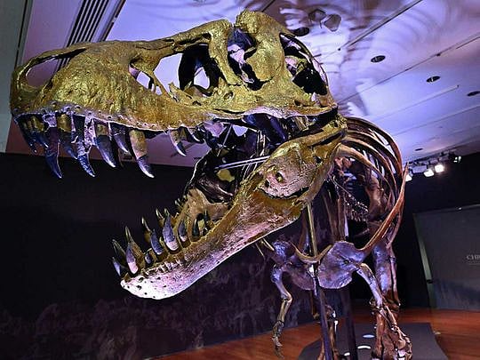 Tyrannosaurus Rex skeleton expected to fetch up to $25m at auction
