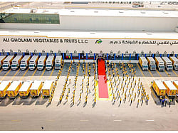 Ali Gholami: The UAE’s leading fruit and vegetable company has an eye on sustainability