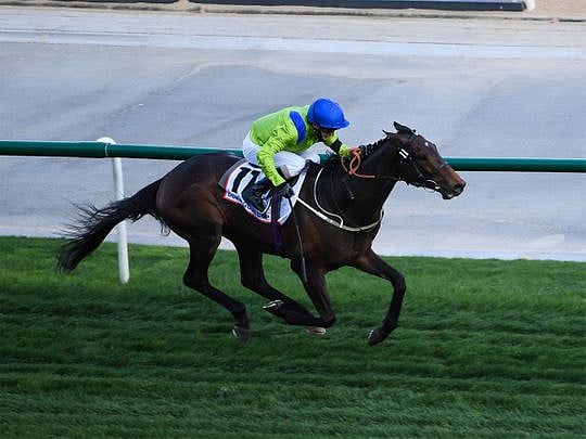 Dubai World Cup: IRB’s Adrian Beaumont works tirelessly to bring ...