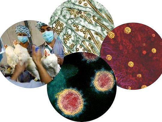 Laboratory leaks: Know the documented incidents of 'escape' of ...