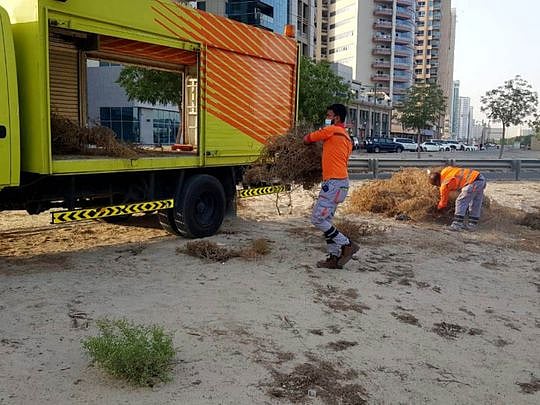 Dubai cleans up 360 tonnes of waste distorting beauty of city on main roads