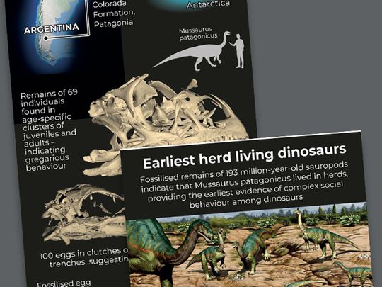 New discovery rewrites the story of dinosaurs' social behavior