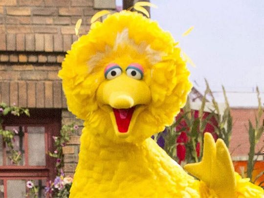 Big Bird backlash: COVID-19 vaccination lands even Muppet in political flap