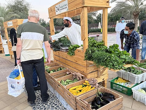 UAE farmers invited to apply for Sheikh Mansour Agricultural Excellence ...