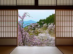 Bring peaceful Zen-style interiors home in 7 steps