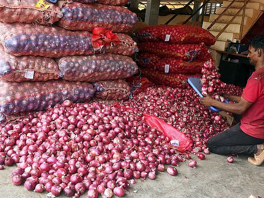 Philippines may not fill onion imports on tight conditions: USDA