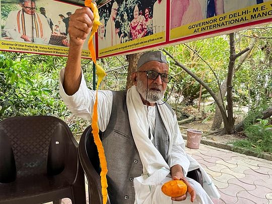 India’s mango man nurtures 120-year-old tree to produce 300 varieties ...