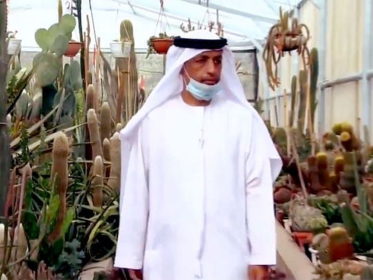 Meet the ‘King of Cactus’ with more than 5,000 plants in UAE