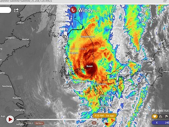 Typhoon Hinnamnor makes landfall in Busan, South Korea: Sept. 6 update