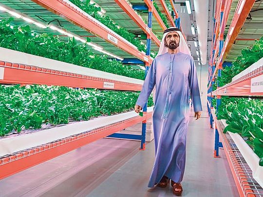 Photos: Mohammed bin Rashid tours world’s largest vertical hydroponic ...