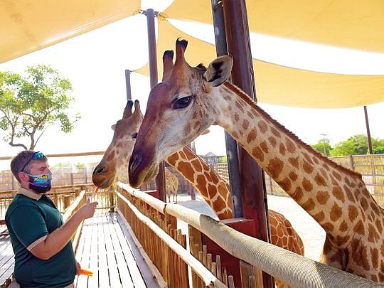 Photos: Dubai Safari to offer new unique interactive entertainment and ...