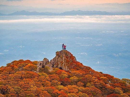 'Dream come true': Japan reopens to tourists