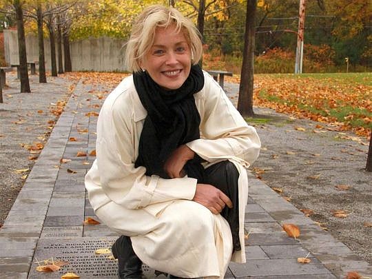 All about Hollywood star Sharon Stone's new film 'Nobody 2'
