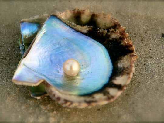 Abu Dhabi works to revive traditional pearl industry