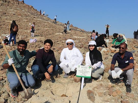 UAE volunteers plant more than 3,000 trees in bee reserve