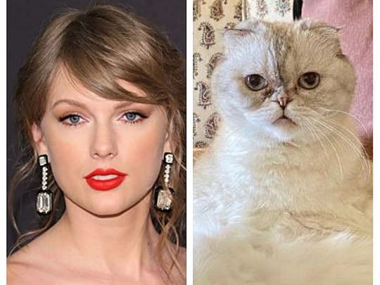 Taylor Swift’s cat is the third richest pet in the world valued at ...