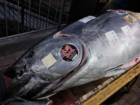 Pictures: A giant tuna fetches $275,000 at New Year auction in Tokyo