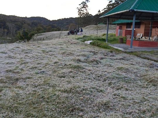Video: It's snow time in Munnar, the 'Kashmir' of South India