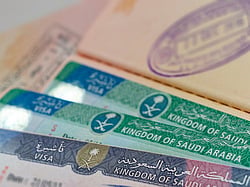 Saudi Arabia: 30-day grace period for holders of expired visit visas to ...