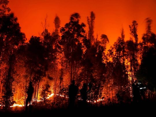 Death toll in Chile forest fires rises to 23: official