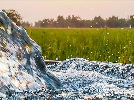 UAE: Abu Dhabi aims to reduce groundwater extraction by up to 650 ...