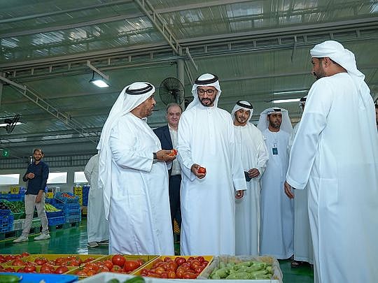 Watch: Abu Dhabi gets new farmers’ market at Mina Zayed