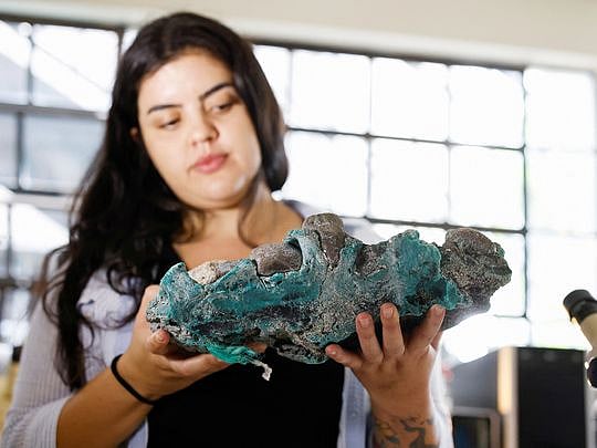 Video: Brazilian researchers find 'terrifying' plastic rocks on remote ...