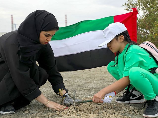 World Water Day: Volunteers plant 5,500 mangroves in Dubai’s marine reserve