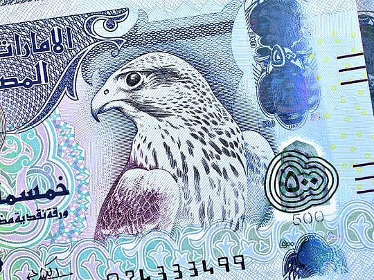 UAE plans to issue treasury bonds to individuals