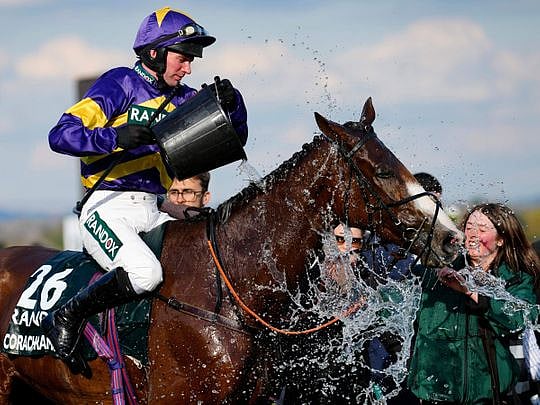 Corach Rambler roars to victory in Grand National